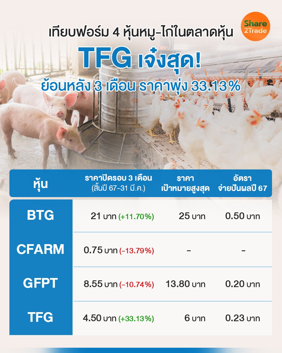 เทียบฟอร์มหุ้นหมูไก่ในตลาดหุ้น BTG-CFARM-GFPT-TFG | Share2Trade